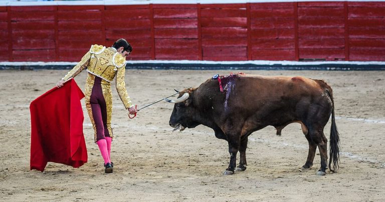 Amparo federal frena corrida de toros en Juriquilla pese a estar ...